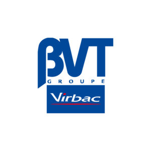 BVT
